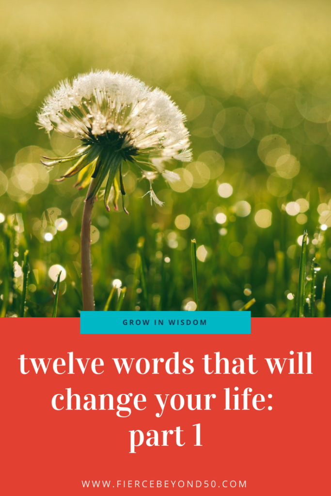 Twelve Words That Will Change Your Life: Part 2 - Marie Bostwick