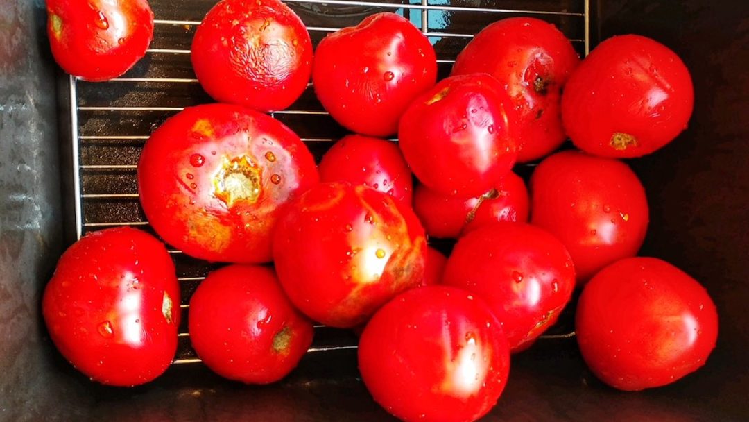 Tomato Sauce Recipe with Fresh Tomatoes (No Peeling Required!) - Marie ...
