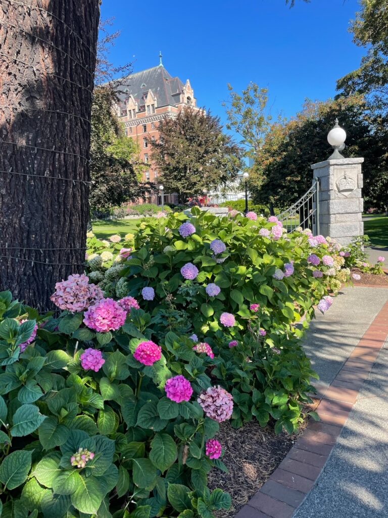 What to Do in Victoria, BC without a Car - Marie Bostwick